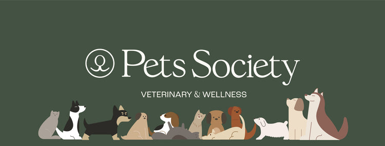 About – Pets Society